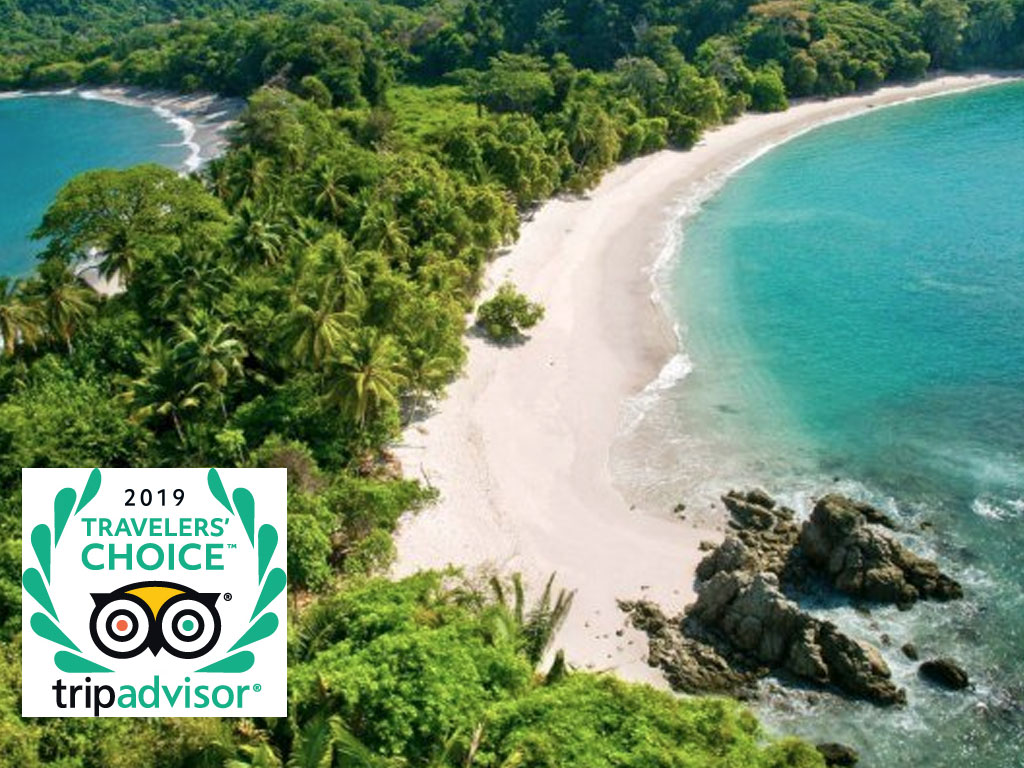 Manuel Antonio Park - The Best Experience in Costa Rica